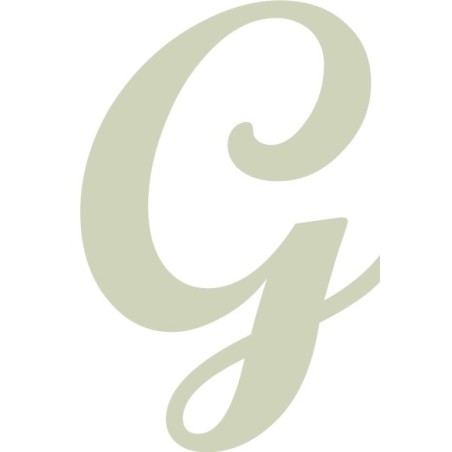 Script 40Mm Uppercase Letter - G