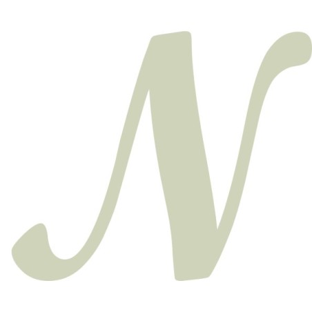 Script 40Mm Uppercase Letter - N