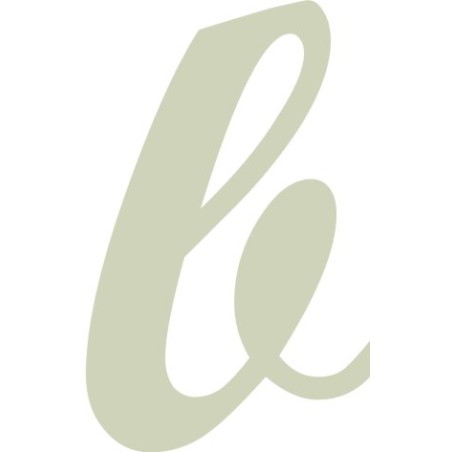 Script 40Mm Lowercase Letter - B
