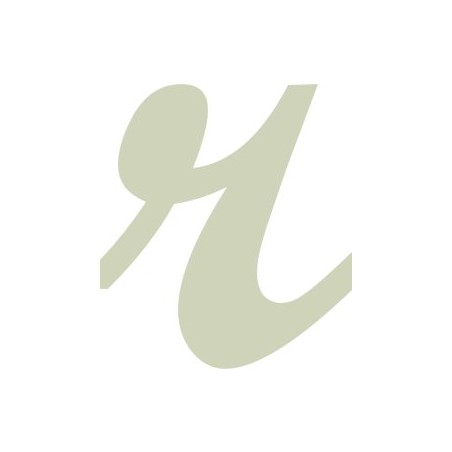 Script 40Mm Lowercase Letter - R