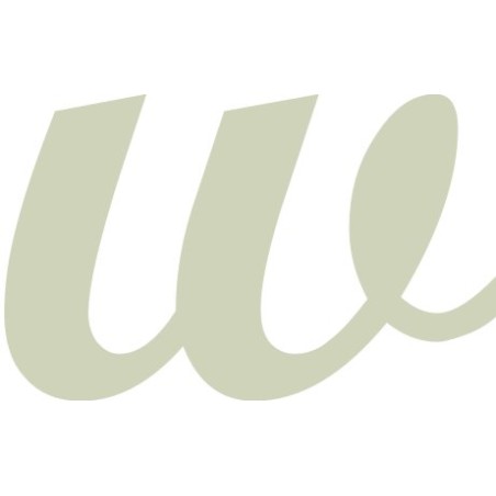 Script 40Mm Lowercase Letter - W